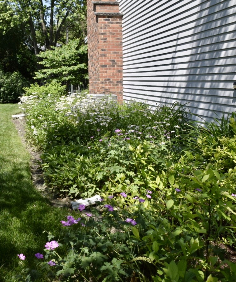 A little cooking, a little gardening, and the remarkable Hayes girls ...